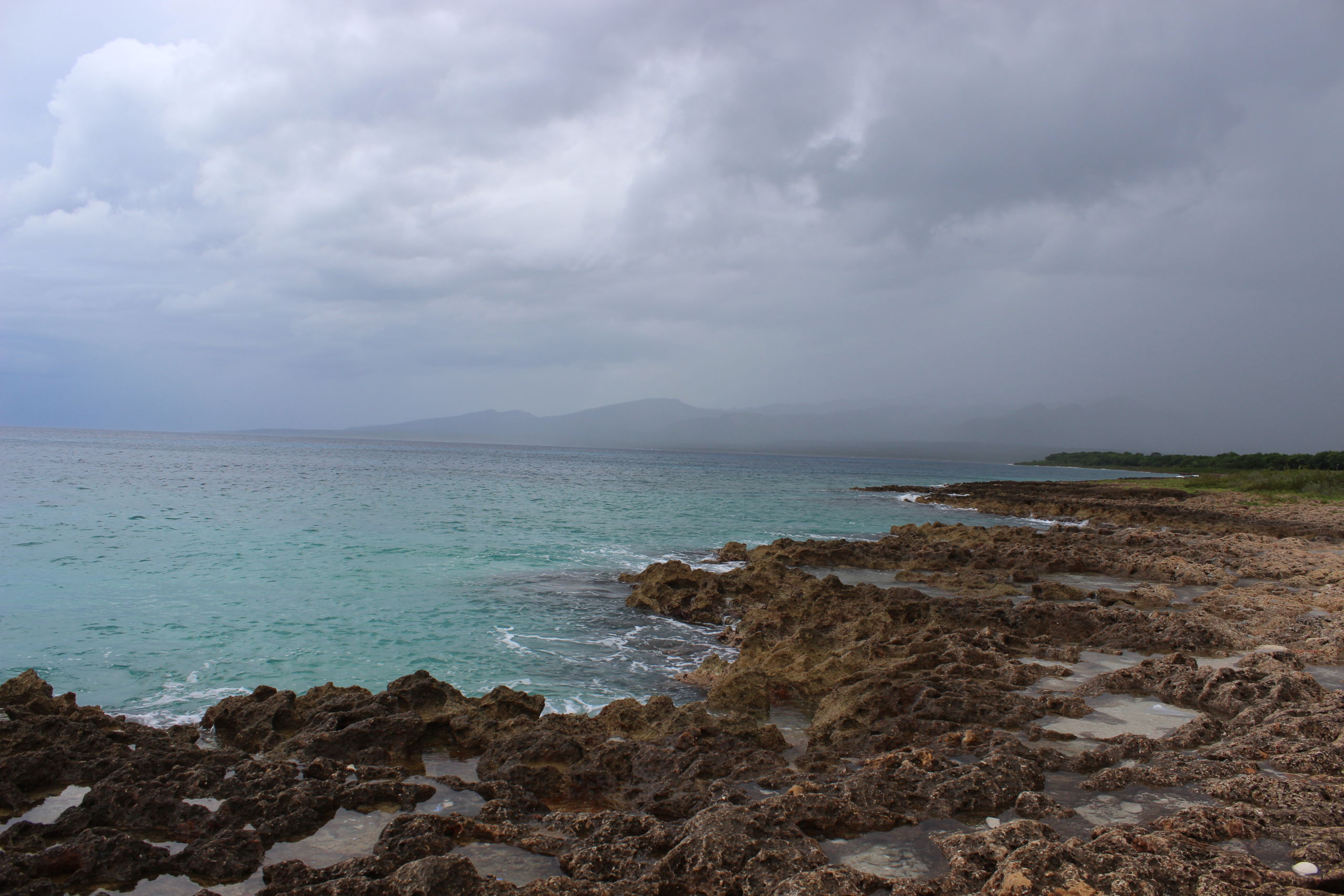Punta Perdíz: Sagenhafte Unterwasserwelt - CHAOS TRIP